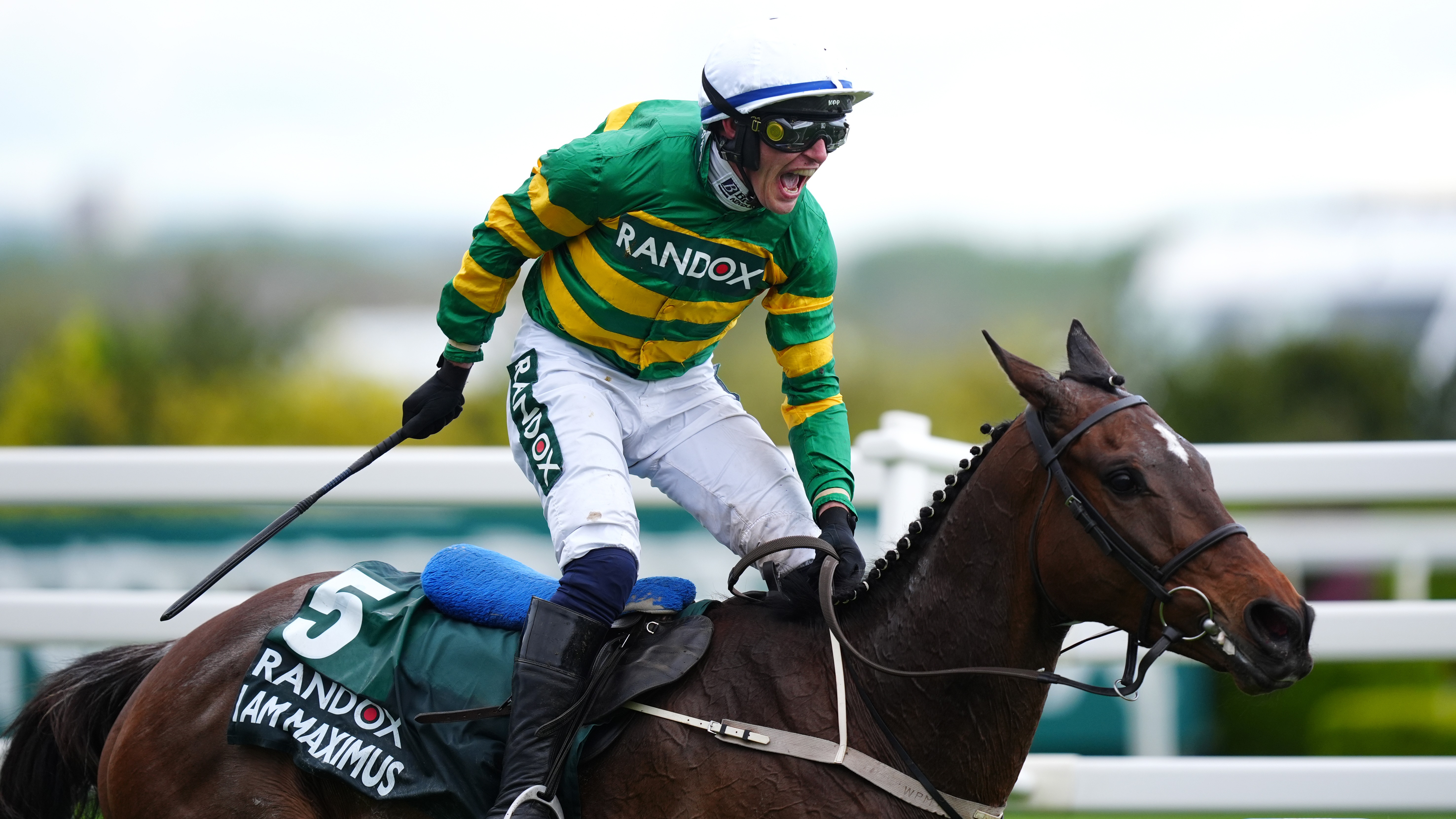 I Am Maximus heads the weights for another Grand National | Racing