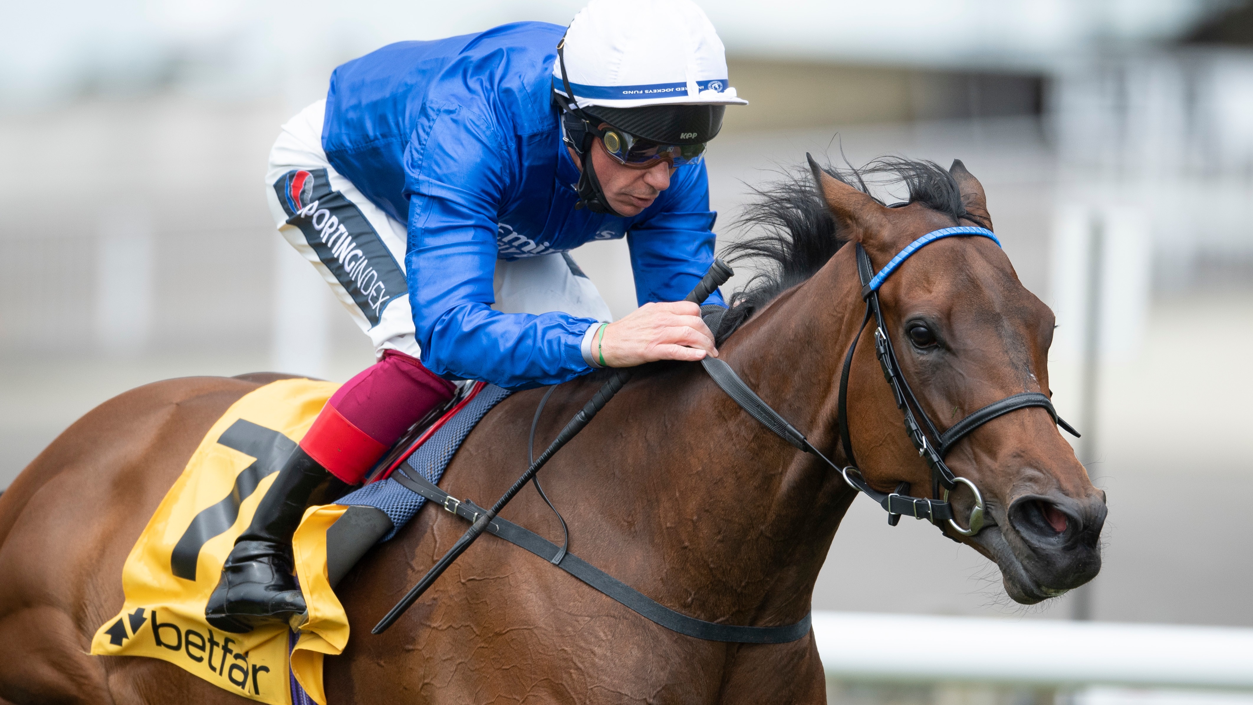 Gosden pair bid for Falmouth glory | Racing