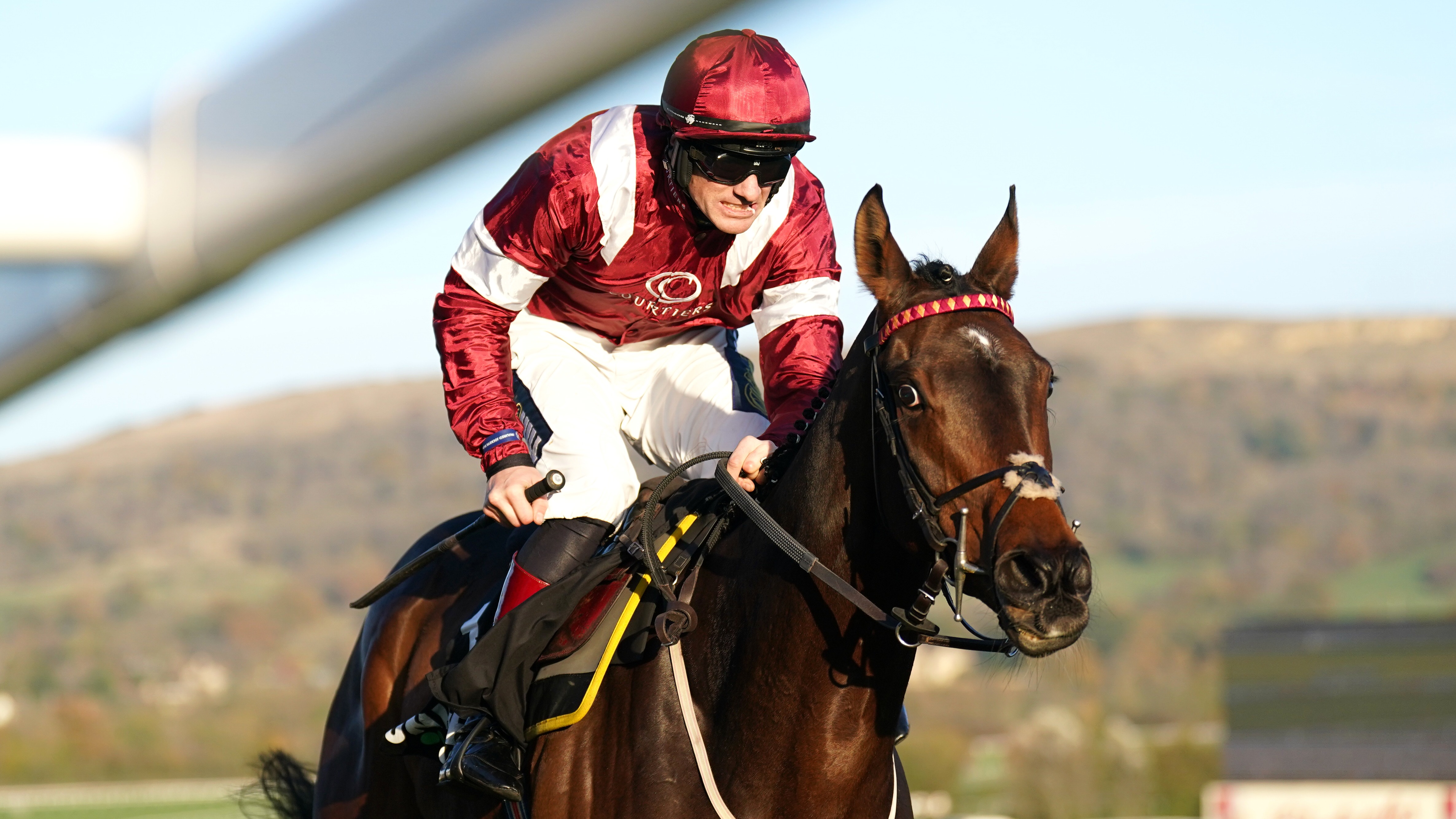 Greatwood gains for Twiston-Davies with I Like To Move It | Racing