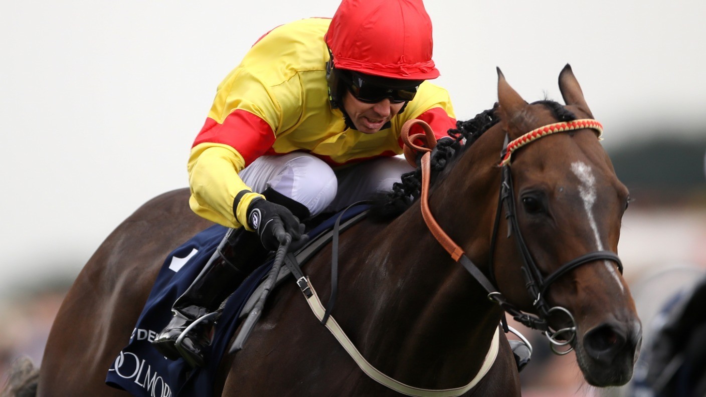 Alpha Delphini to resume in the Temple Stakes at Haydock | Racing