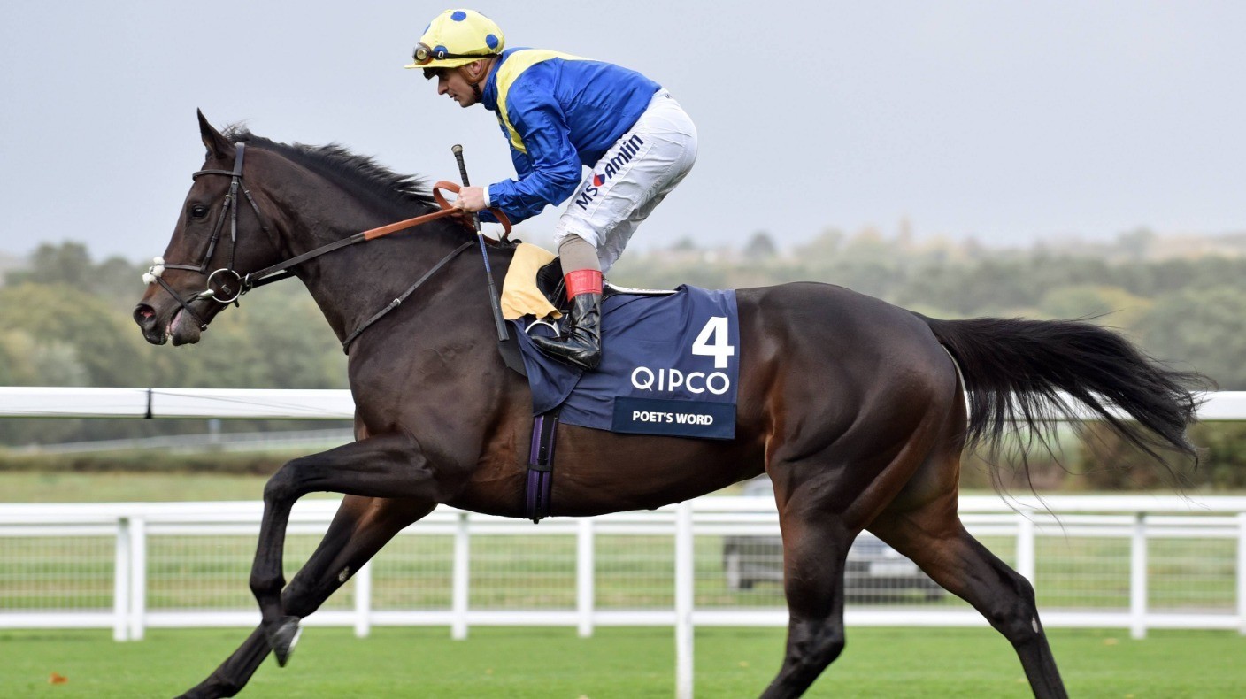 Poet's Word out for the season after injury setback | Racing