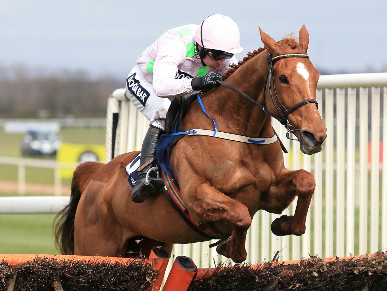 Annie Power may have run her last race | Racing