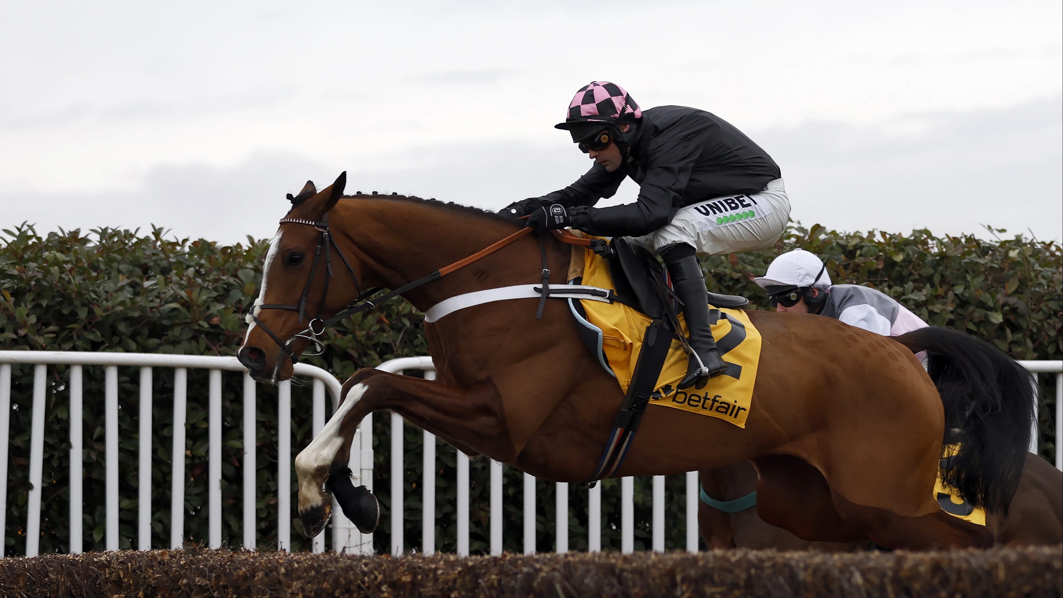 Bothwell Bridge flawless on chasing debut | Racing