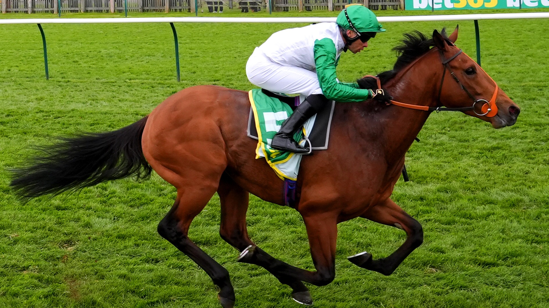 Haatem setback ‘nothing serious’ but season still over | Racing