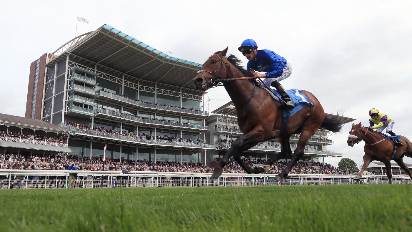 Harry Angel to be retired to stud in 2019 | Racing