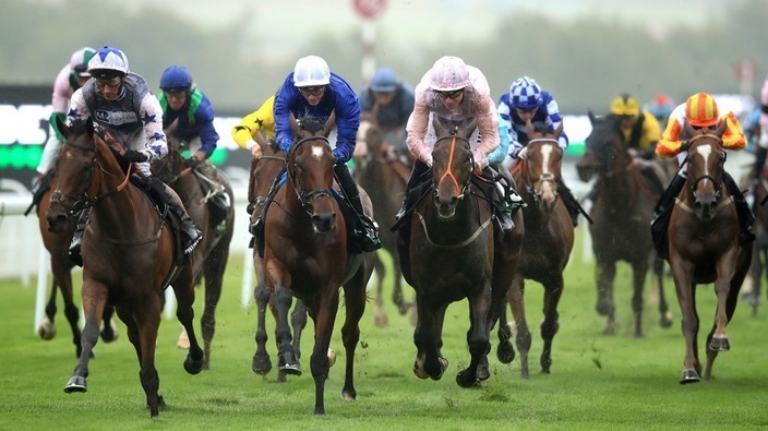 Fayez comes from the back to take the Unibet Handicap | Racing