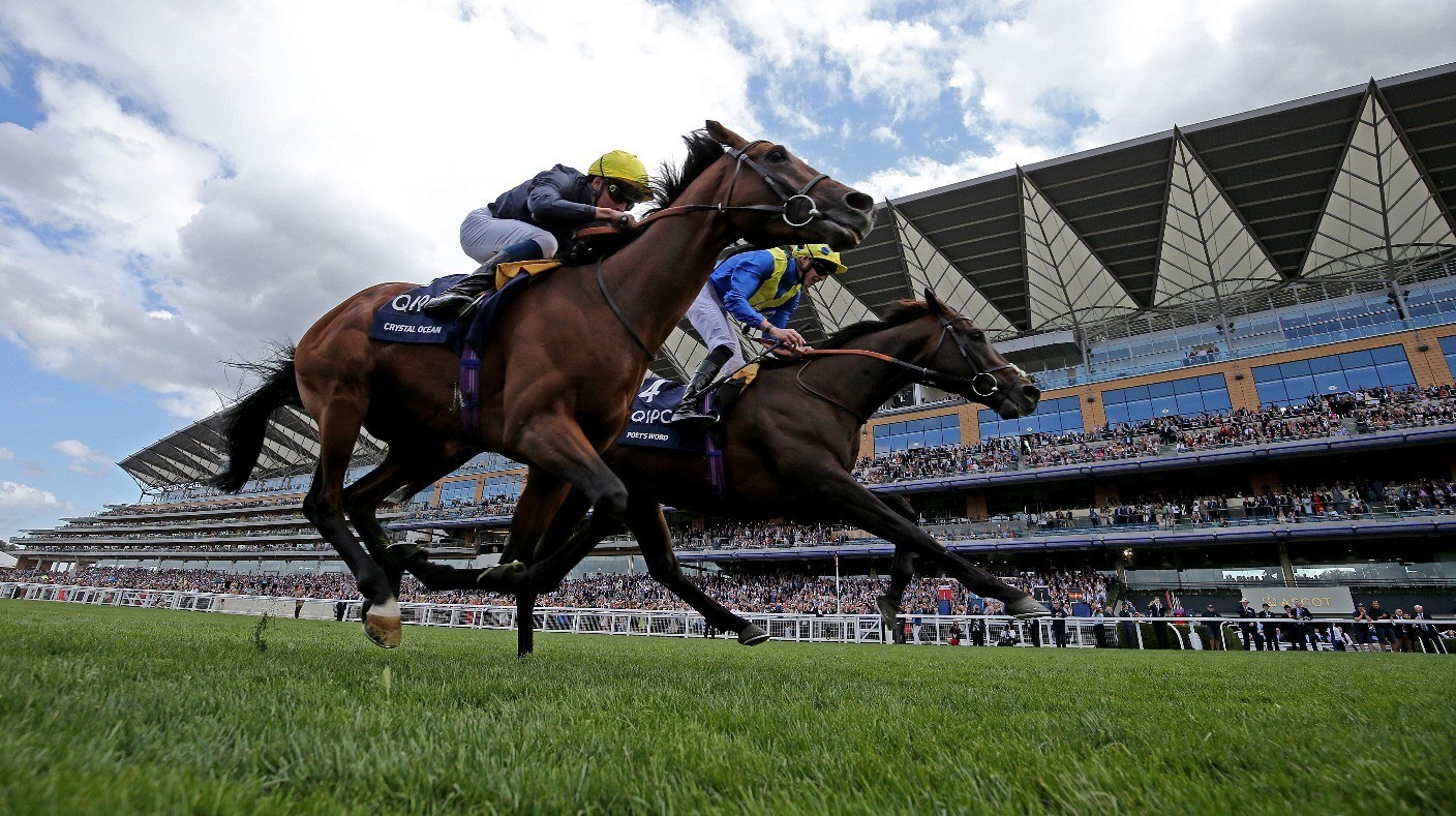 Exciting plans in store for Poet's Word | Racing