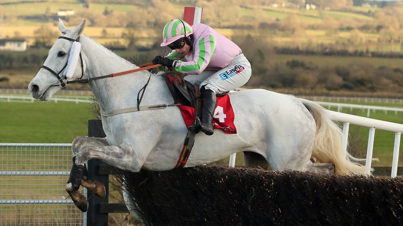 Ross O'Sullivan targeting Baie Des Iles to be his first runner in the ...