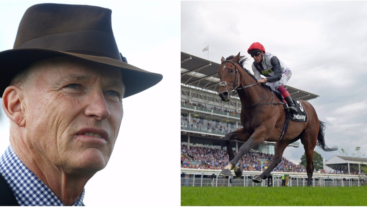 Gosden challenges Cracksman to become a true champion at Ascot | Racing