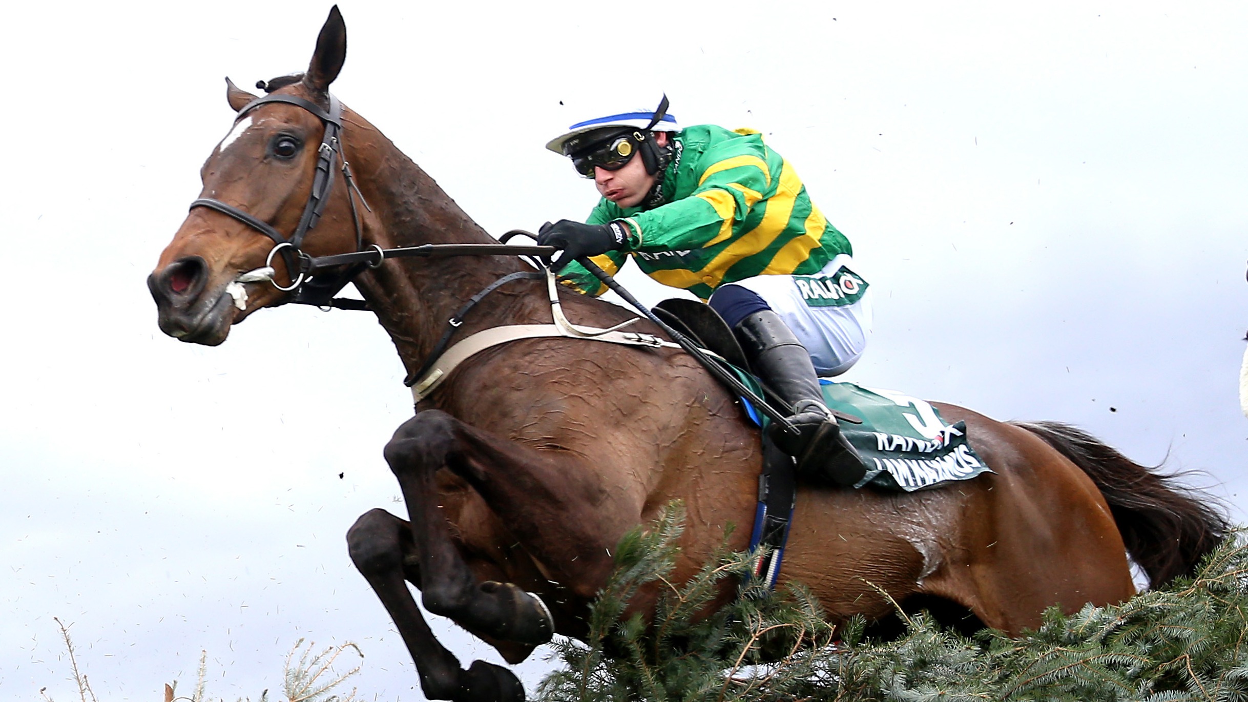 Defending champion Maximus leads 57 in National contention | Racing