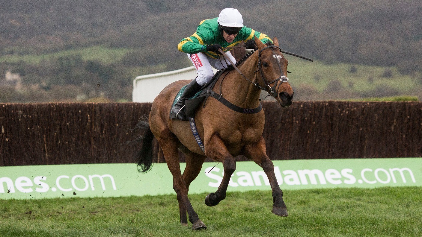 More Of That one of many intriguing entries at Cheltenham | Racing