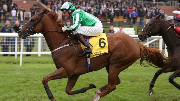 Mr Lupton relishes the conditions at Newbury | Racing