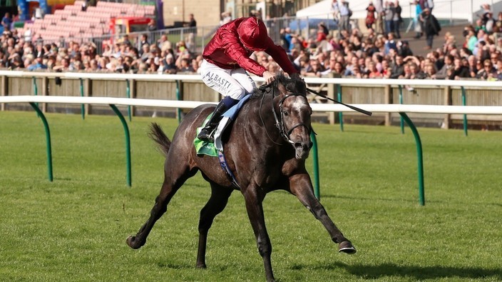 Roarling Lion stays unbeaten in Juddmonte | Racing