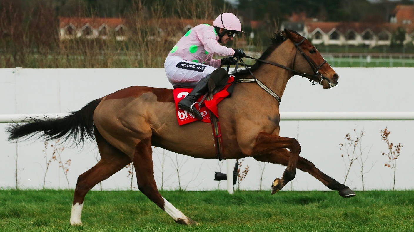 Faugheen out of Irish Champion Hurdle | Racing