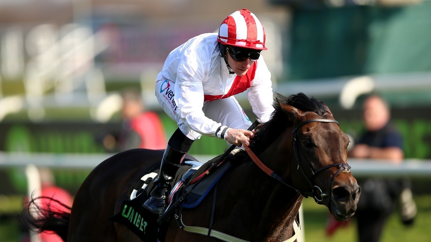 Invincible Army in 'savage form' ahead of Ascot | Racing