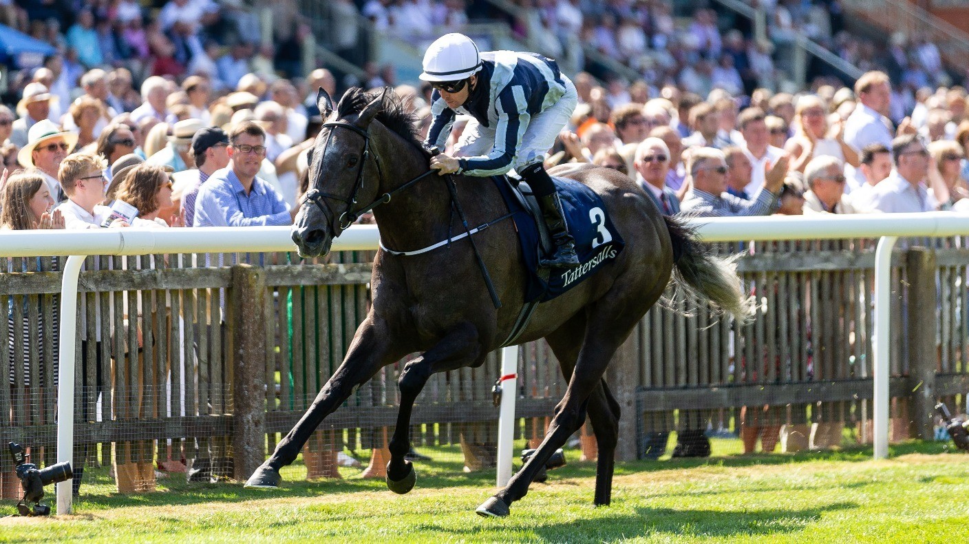 Alpha Centauri continues fantastic campaign with win Prix Jacques le ...