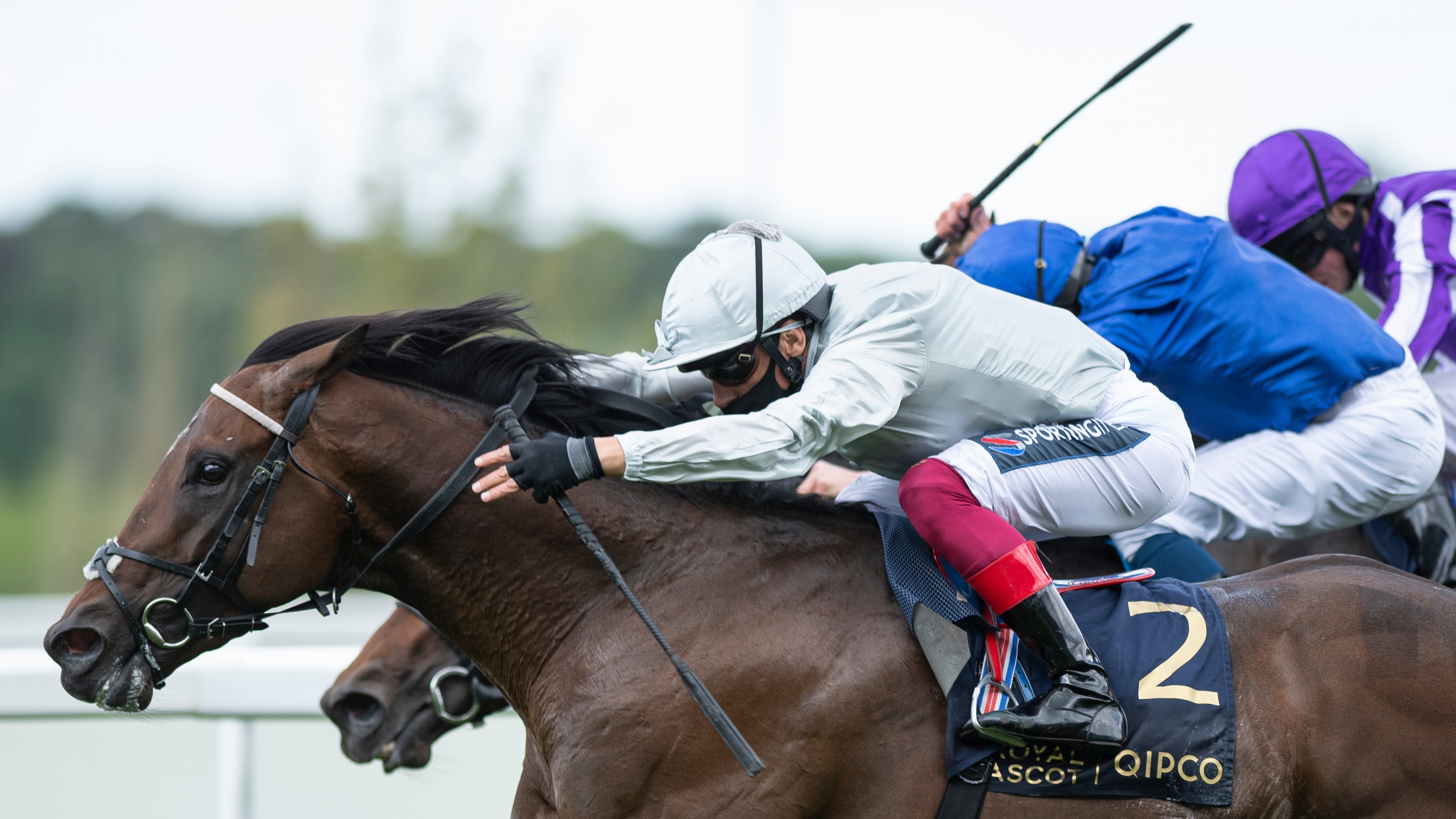 Palace Pier picks up St James's Palace crown | Racing