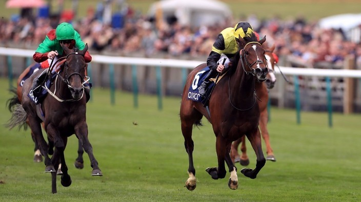 Worth Waiting rewards Lanigan's patience in Dahlia Stakes | Racing