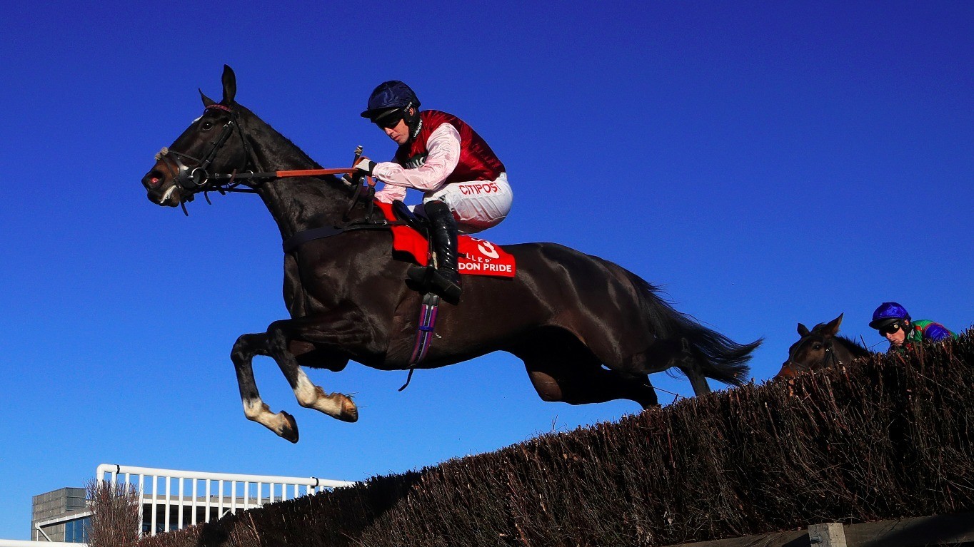 Our Kaempfer could head straight to Cheltenham | Racing