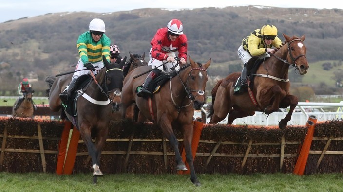 My Tent Or Yours holds off Melon and The New One in Cheltenham classic ...