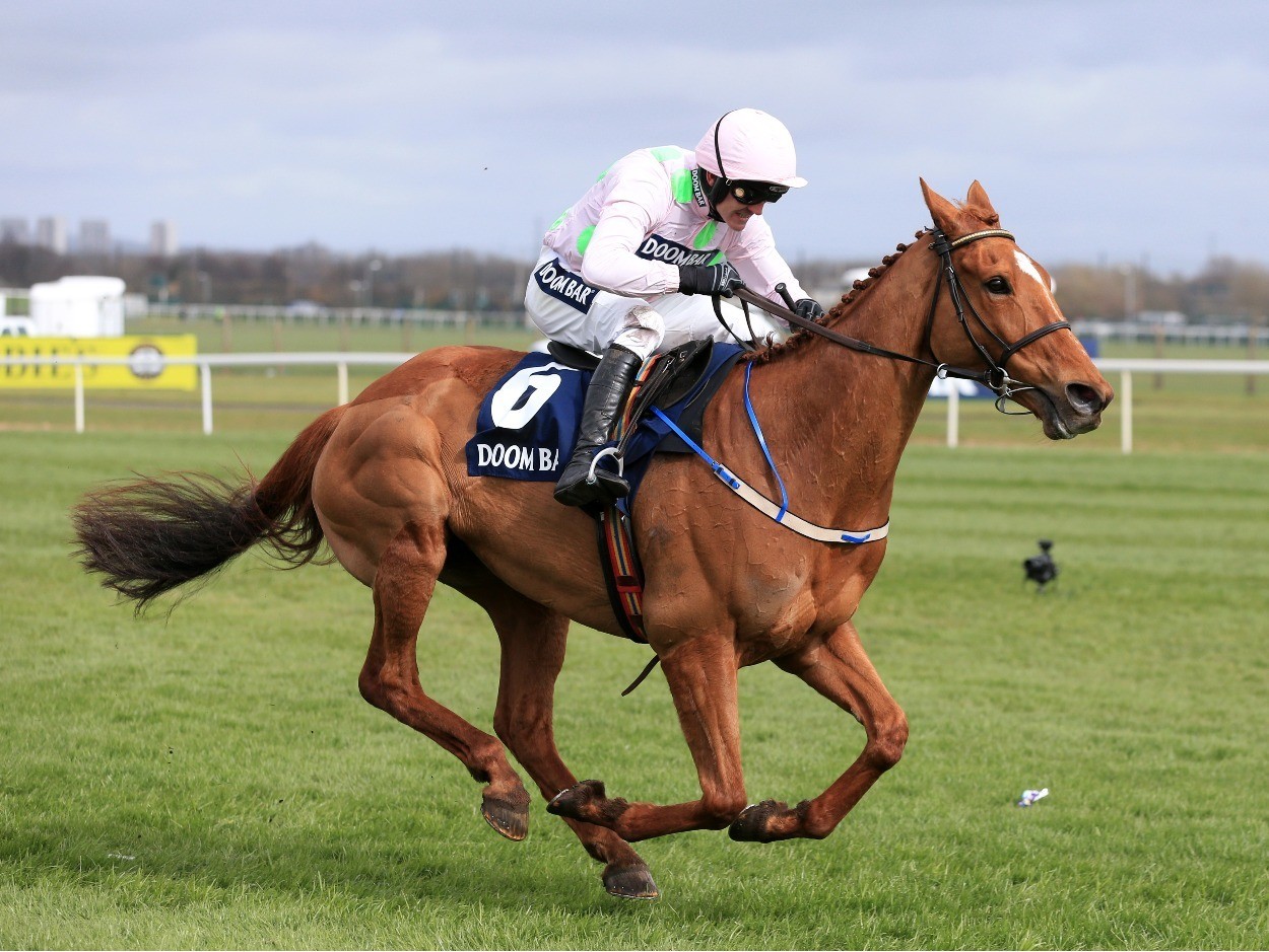 Annie Power to miss the Cheltenham Festival | Racing
