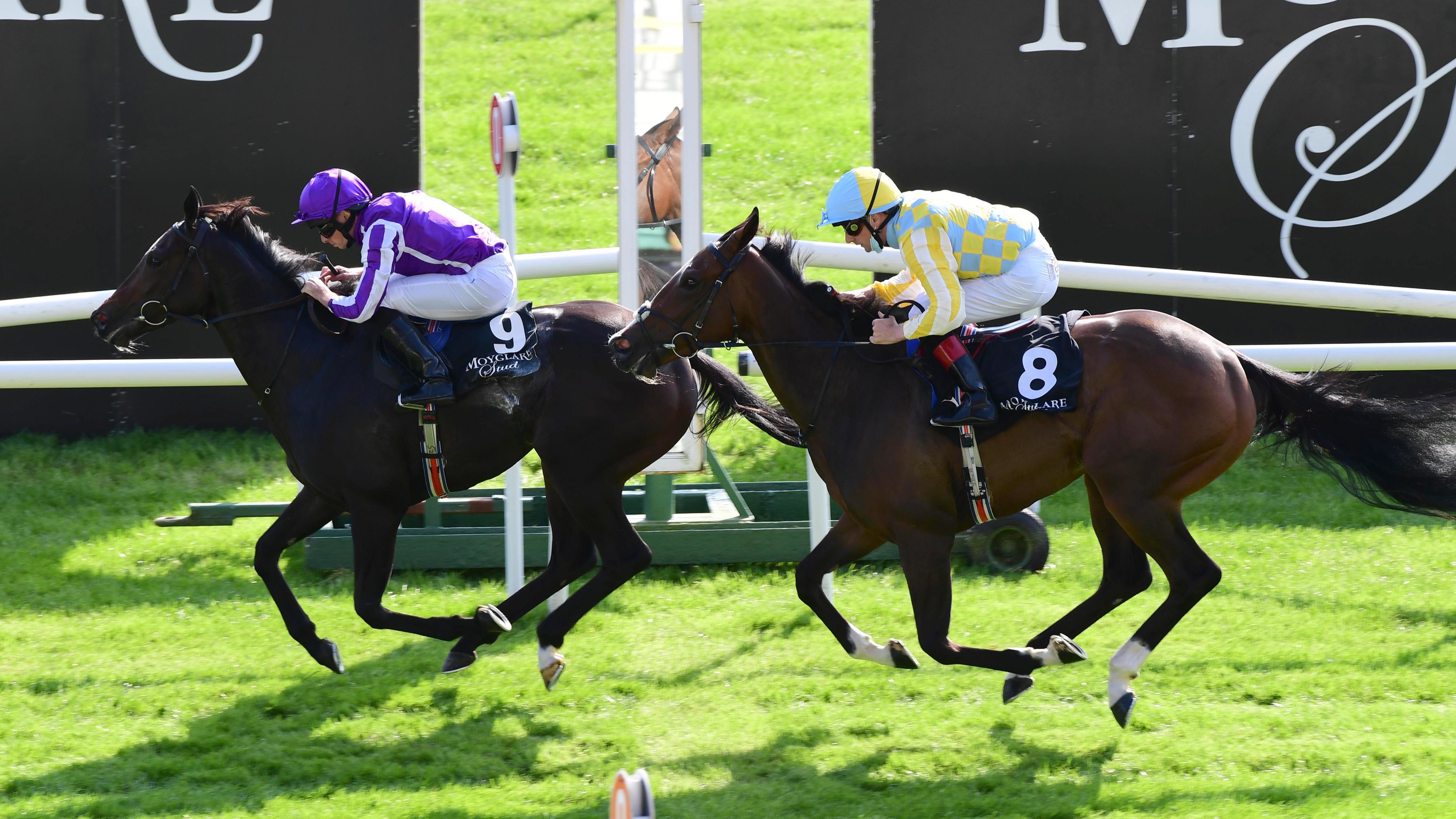 Shale gets the better of Pretty Gorgeous as dream season continues | Racing