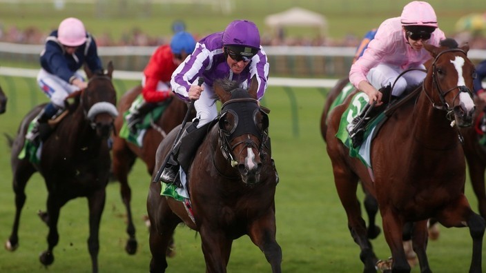 US Navy Flag flies home for Aidan O'Brien and Seamie Heffernan in ...