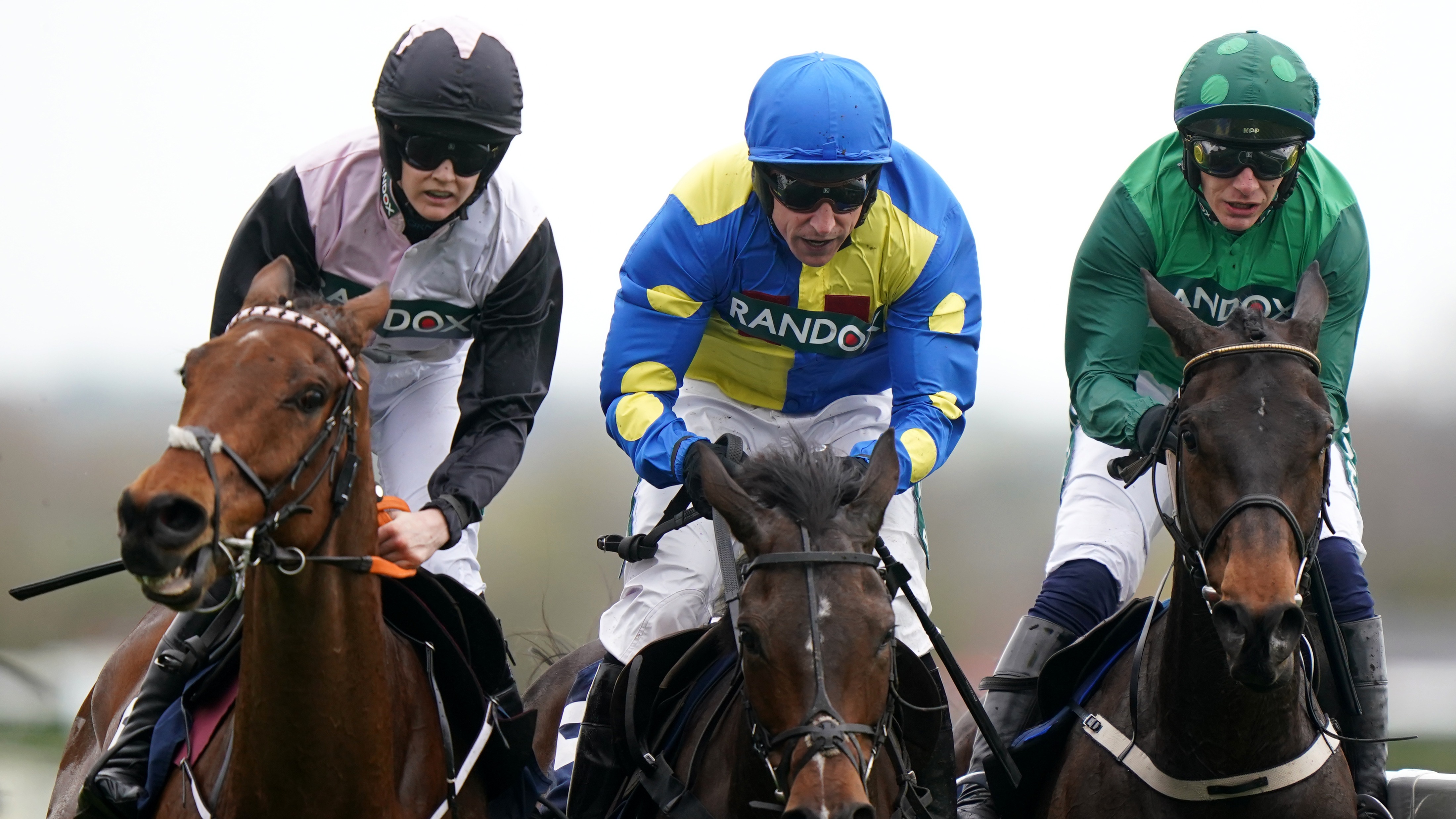 Impaire Et Passe pips Bob Olinger and survives inquiry | Racing