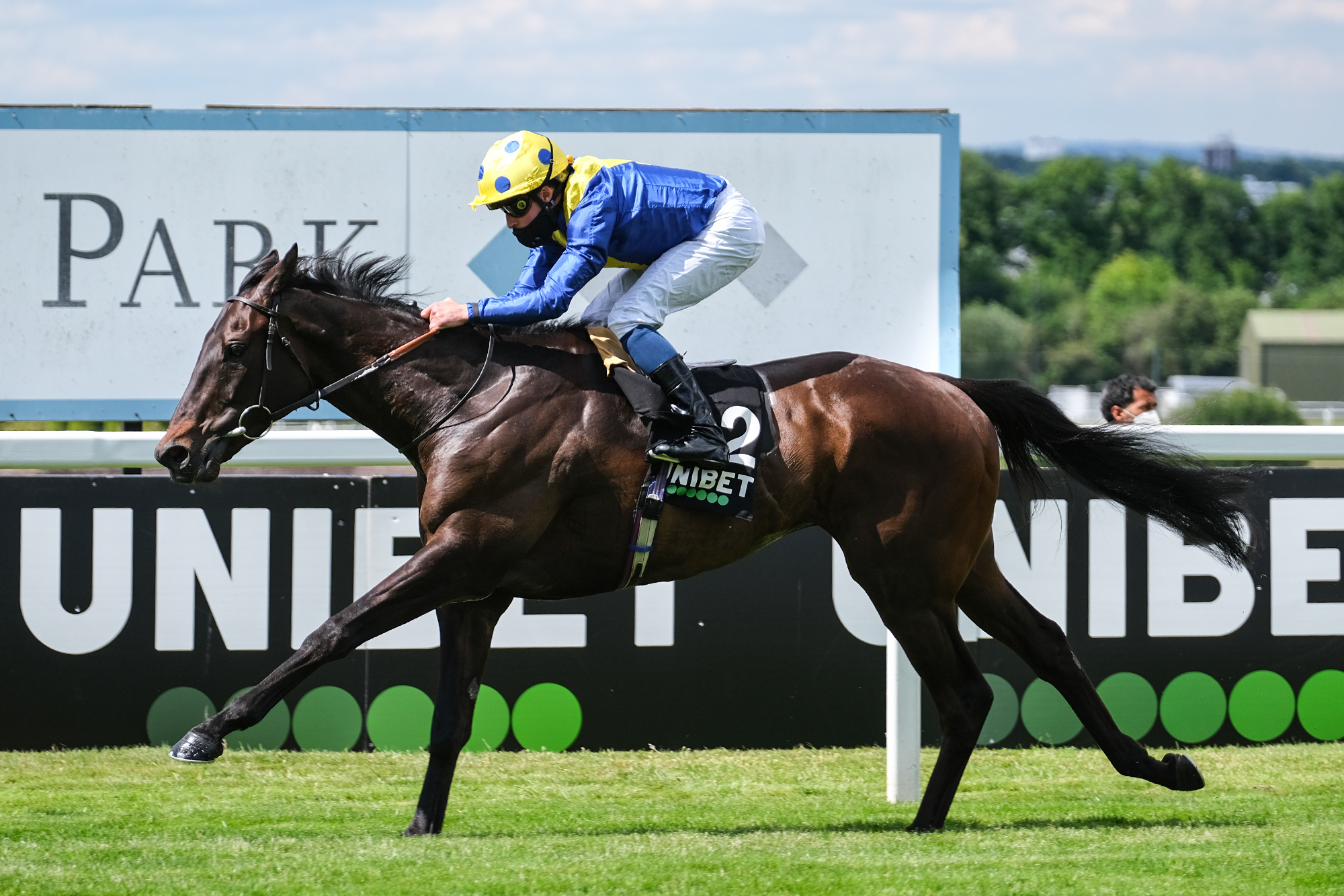 Solid Stone comfortably takes Handicap Stakes at Sandown Park ...