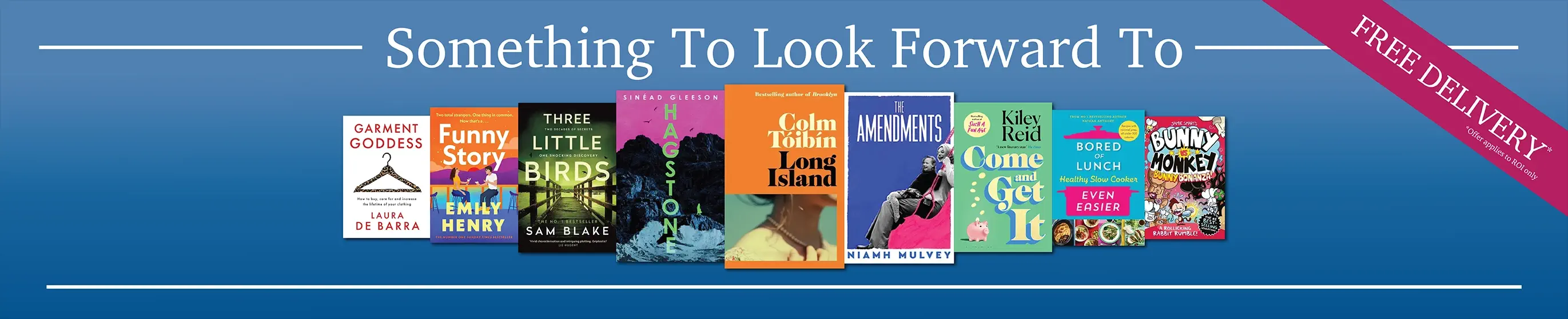 Something to Look Forward To - Dubray Books