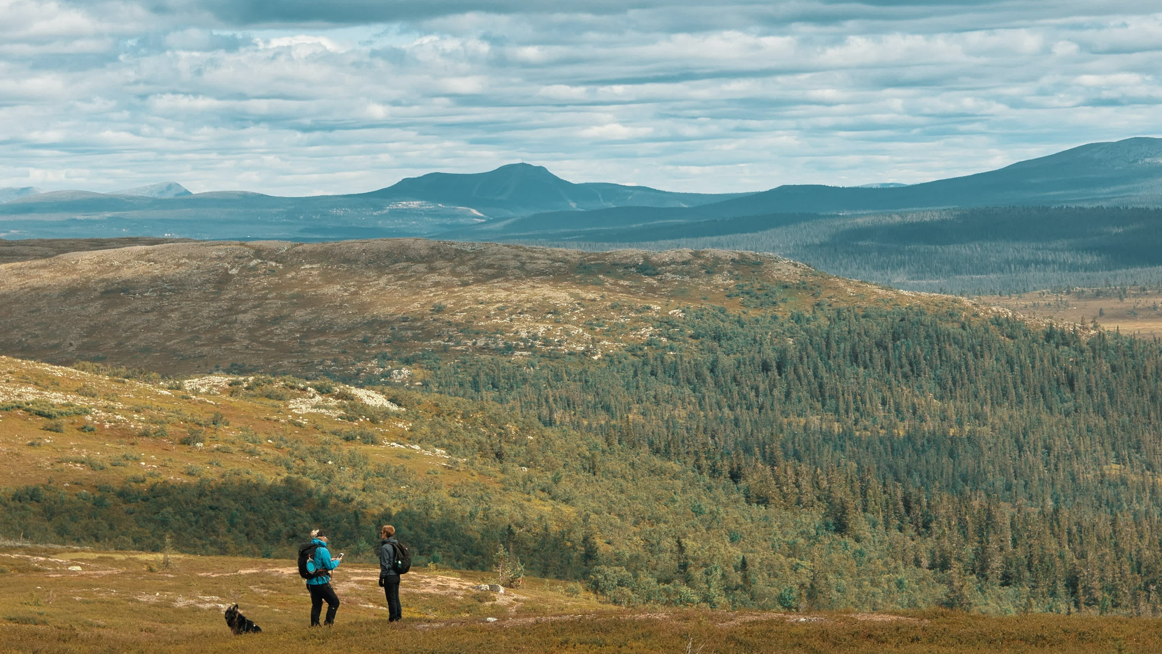 Home | Kivra Private