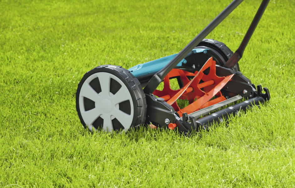 Lees alle informatie over grasmaaiers | GAMMA