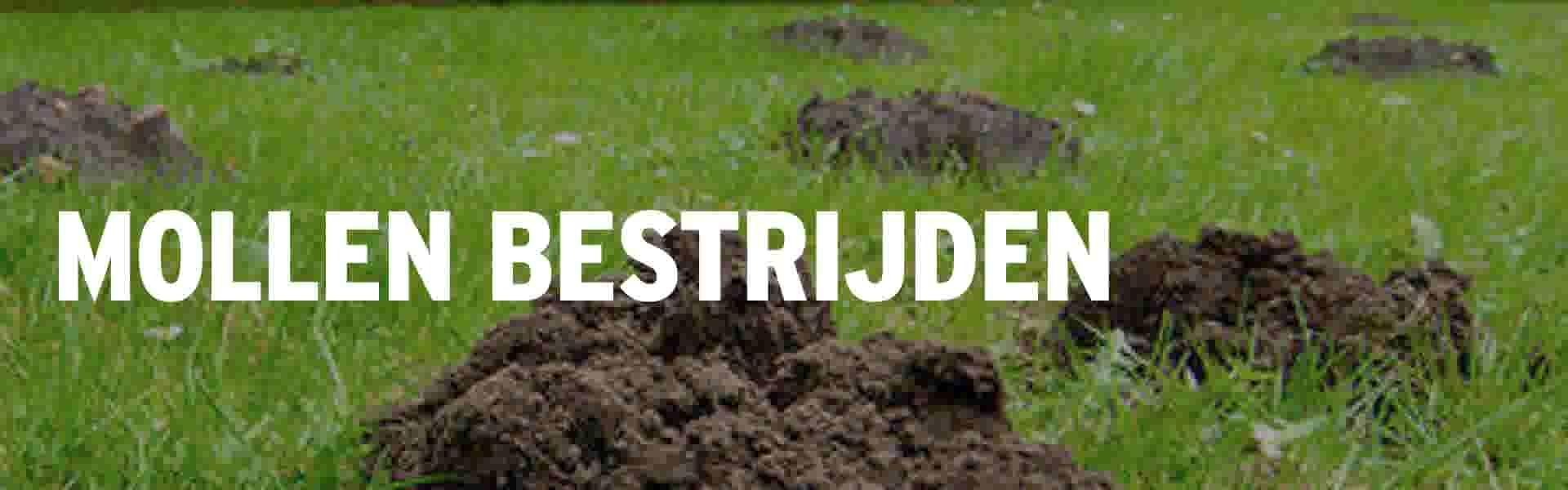 Mollen bestrijden | GAMMA