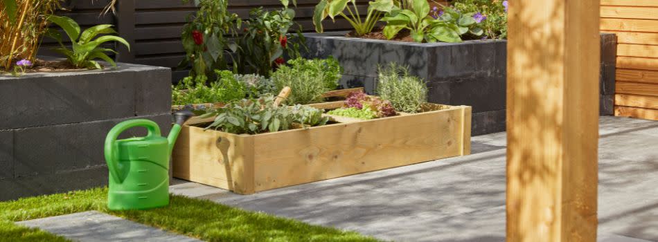 Wil je zelf een moestuin beginnen? Bekijk ons handige stappenplan! | GAMMA