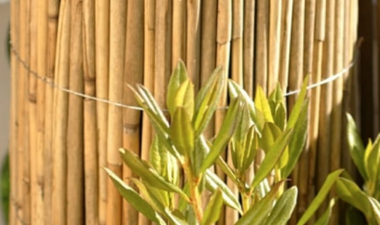 Tuinafscheiding ideeën voor de voortuin: maak een goede eerste indruk ...