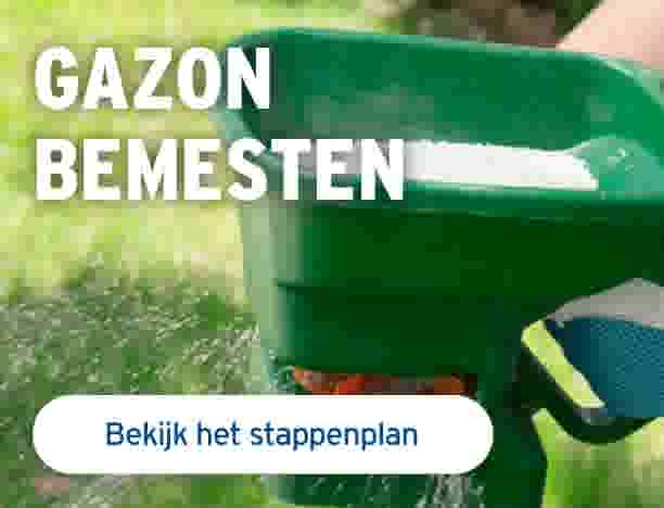 Gazon onderhouden: bekijk ons stappenplan | GAMMA