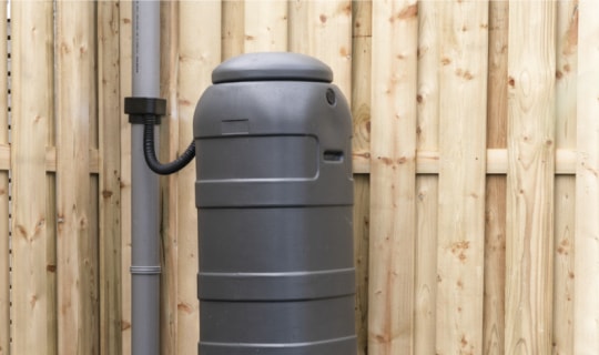 Lees alles over het verduurzamen van de tuin | GAMMA