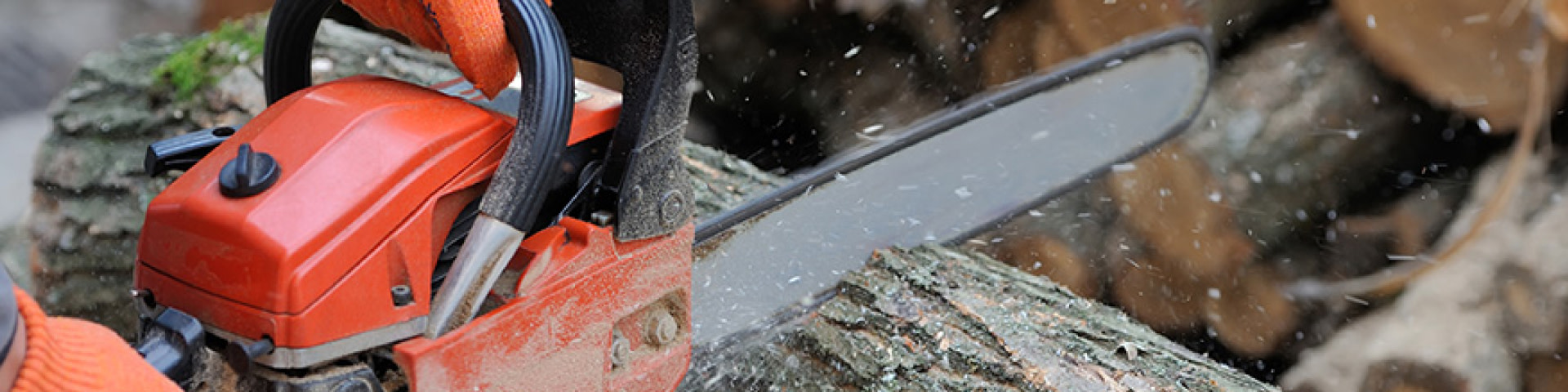 Werken met een kettingzaag, zo zaag je hout | GAMMA