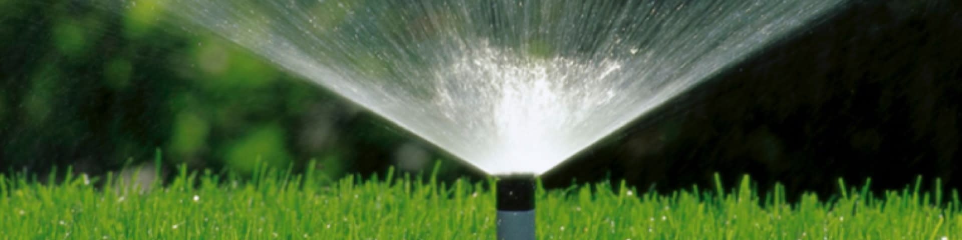 Gazon sproeien: onderhoud en tuintips Gamma