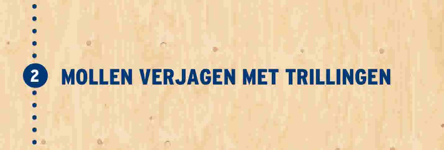 Mollen verjagen | GAMMA