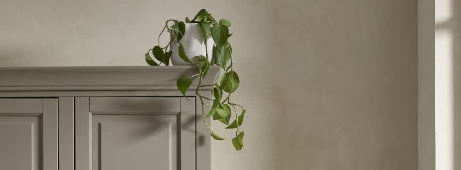 Betonlook verf: ontdek de mogelijkheden van deze verfsoort | GAMMA