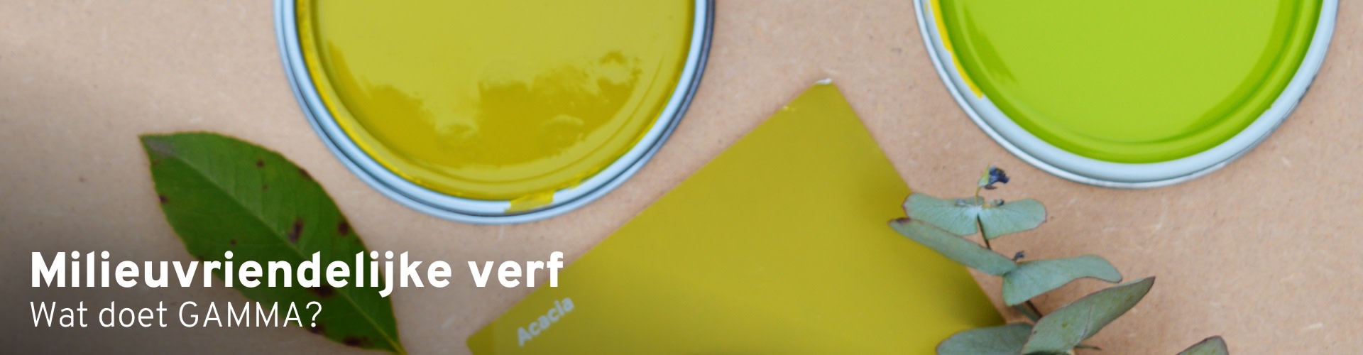 Milieuvriendelijke verf | GAMMA