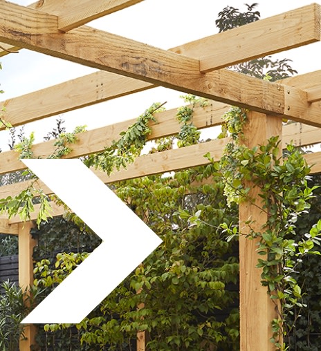 Inspiratie voor een bloeiende alles-in-1 budget tuin | GAMMA