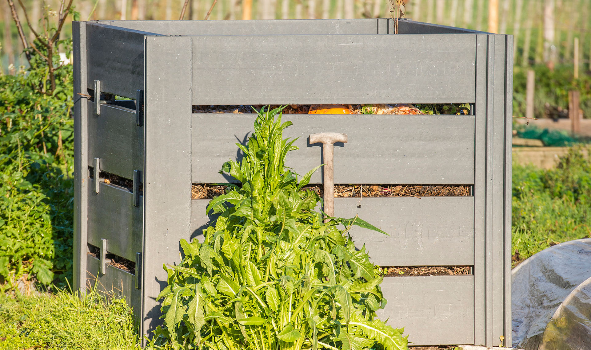 Hoe kan ik zelf composteren? Bekijk ons stappenplan l GAMMA