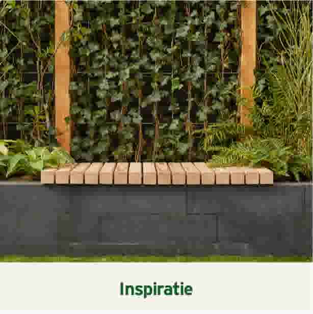 Strakke maar duurzame tuin met ruimte voor containers