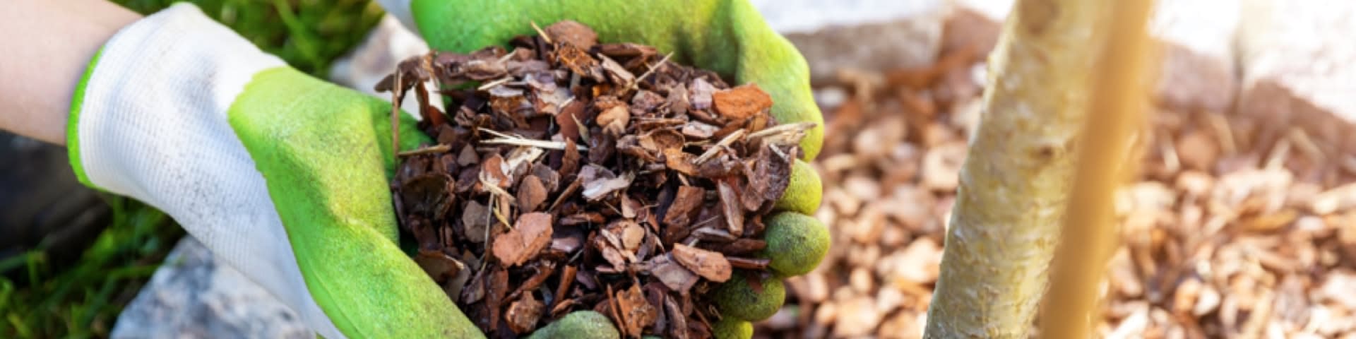 Je tuin mulchen? Lees meer over je tuin verduurzamen | GAMMA