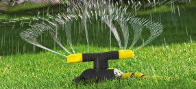 Gazon sproeien: onderhoud en tuintips Gamma