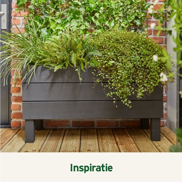 Strakke maar duurzame tuin met ruimte voor containers