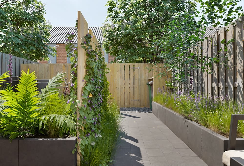 Inspiratie voor een bloeiende alles-in-1 budget tuin | GAMMA