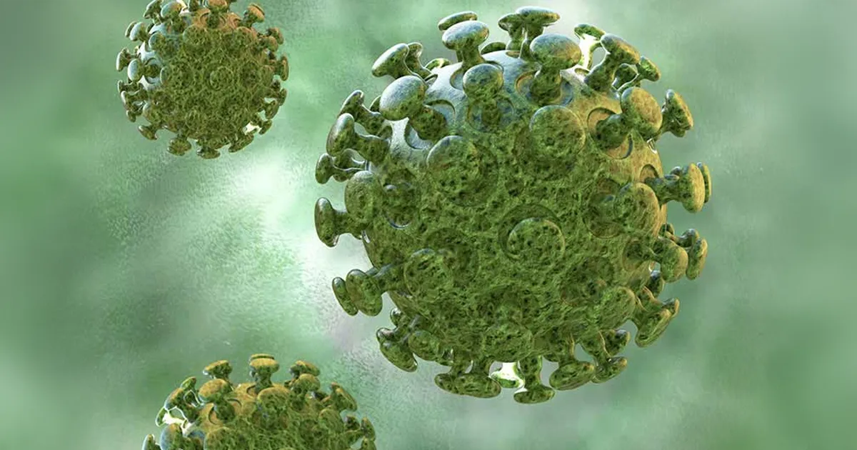 Biofilm and Antibiotic Resistance in Lyme Disease